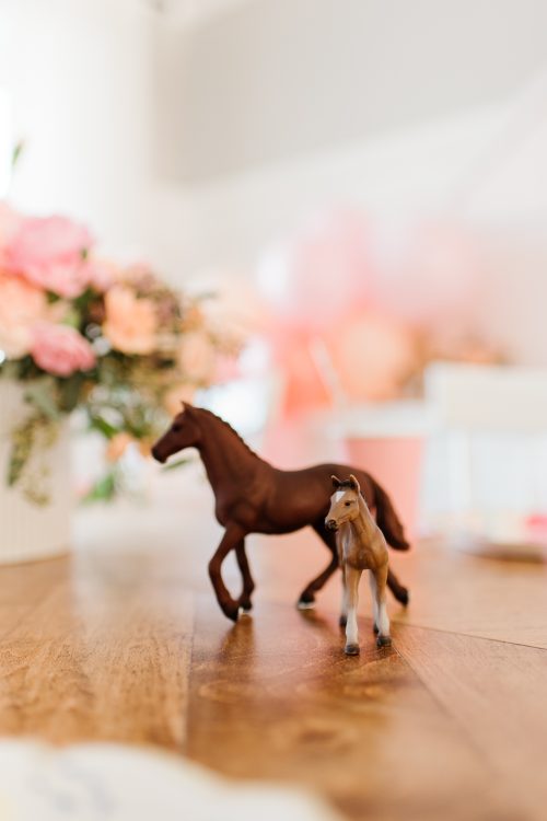 A Horse Birthday Party for our Little Equestrian - Nick + Alicia
